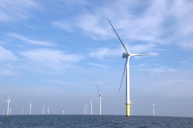 Zorg dat álle toekomstige windparken op zee natuurversterkend en ...